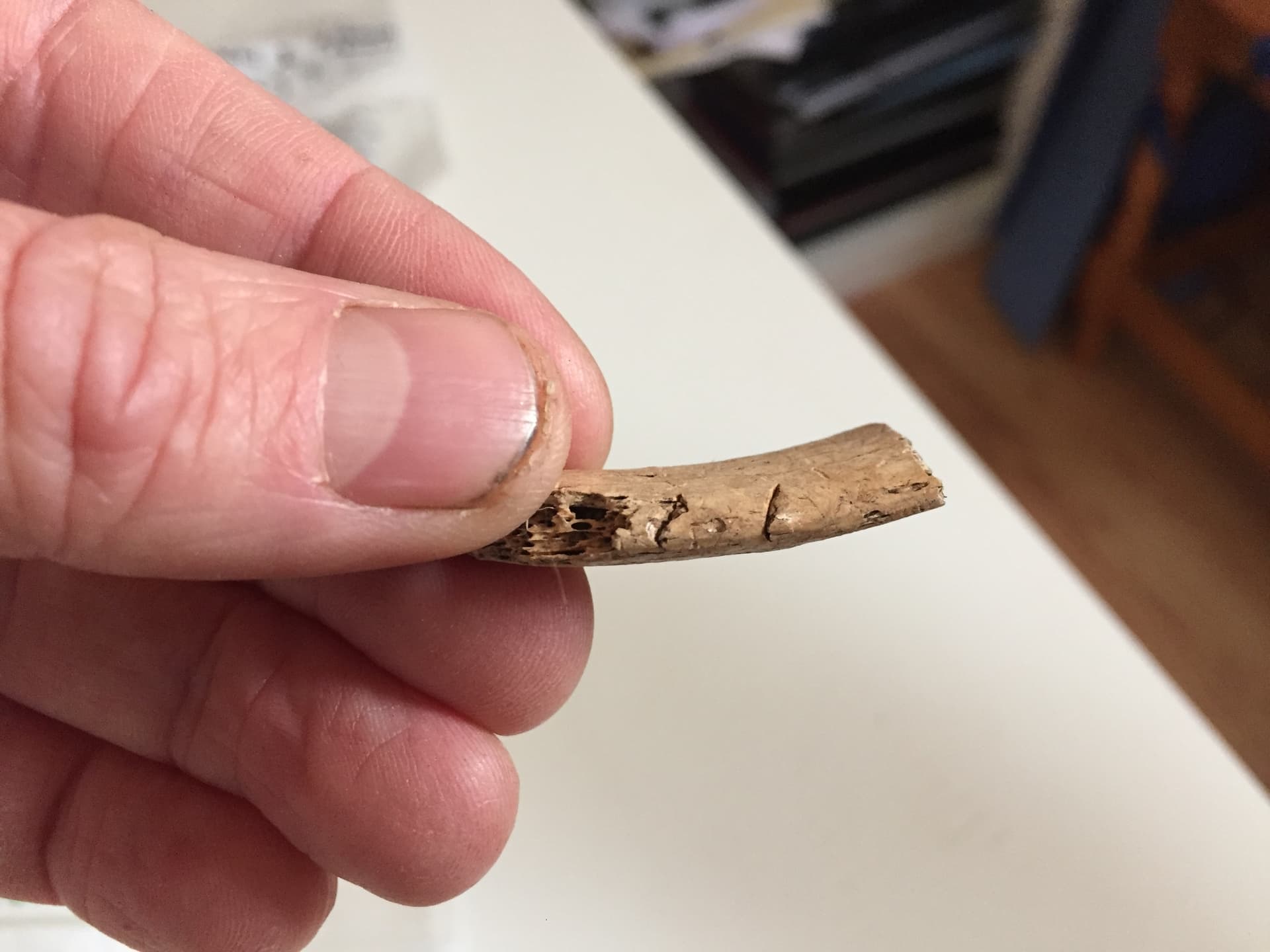 Ancient body found in the Burren suffered a violent death – The Clare ...