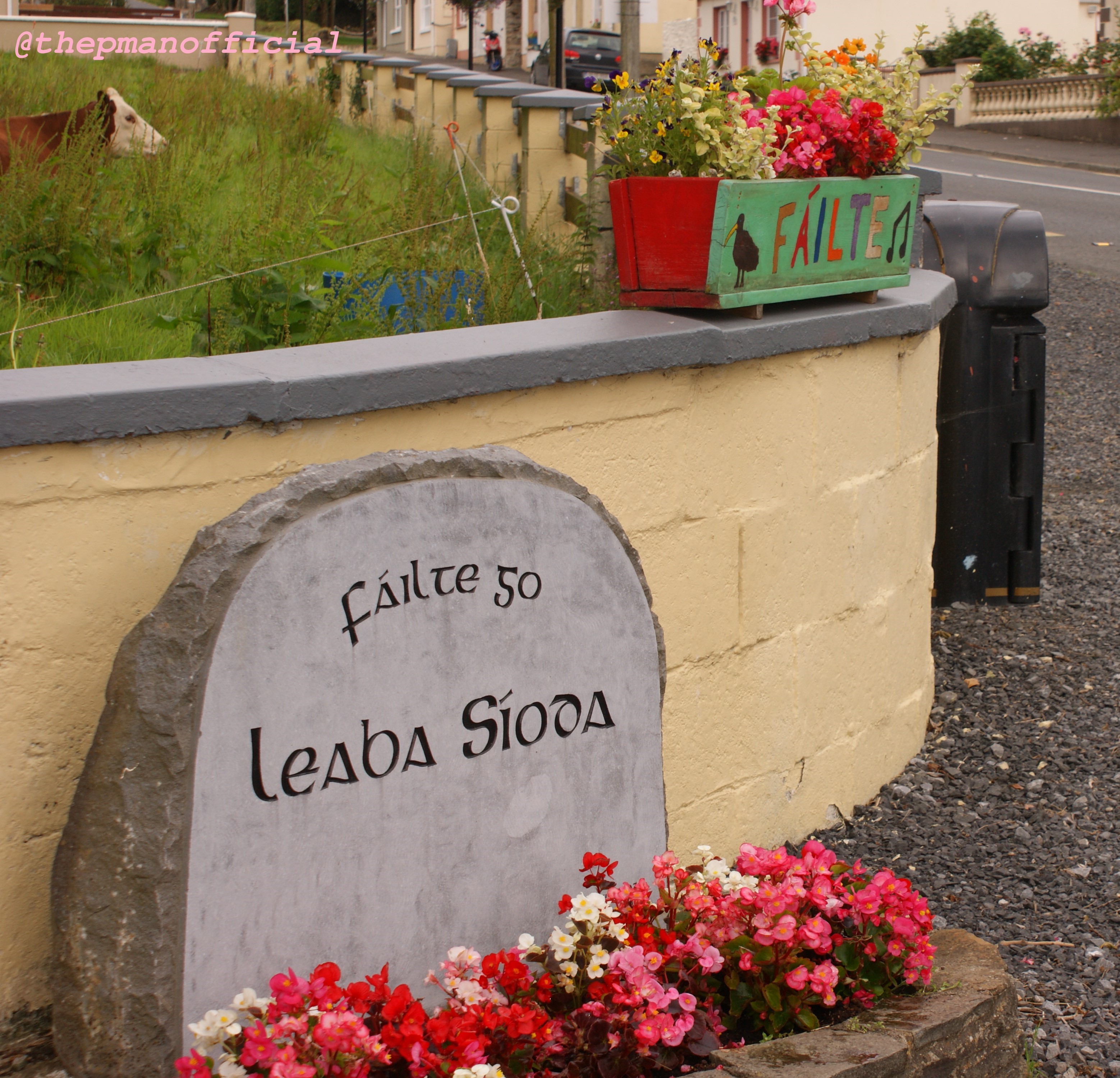 Labasheeda chosen for paint scheme – The Clare Echo News