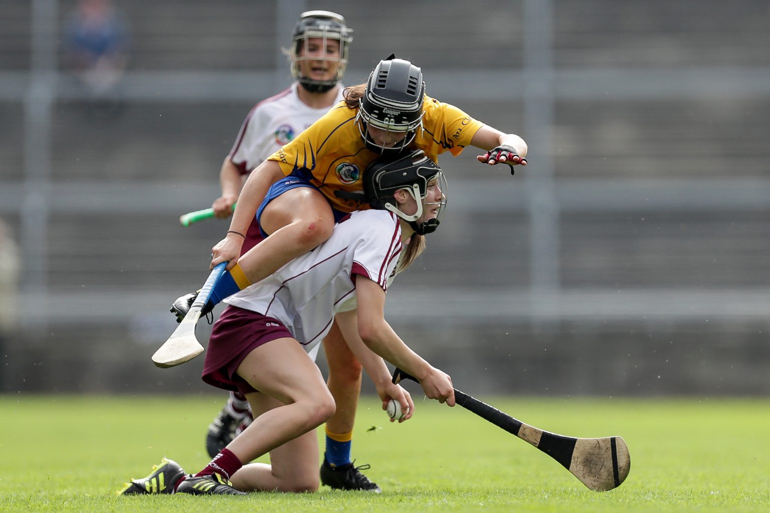Cats stick their claws into Clare camogie team - Clare Echo