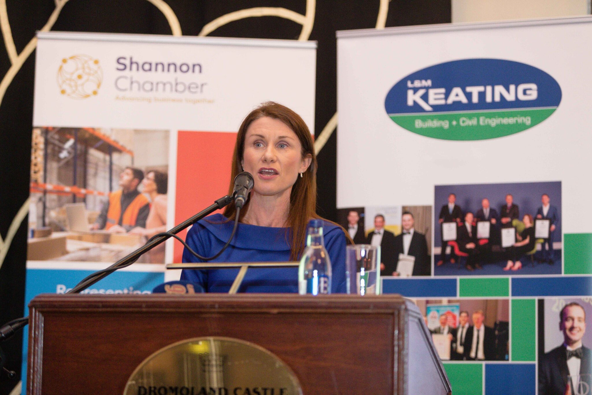 Shannon Airport Group anxious to transfer Shannon Heritage sites to ...