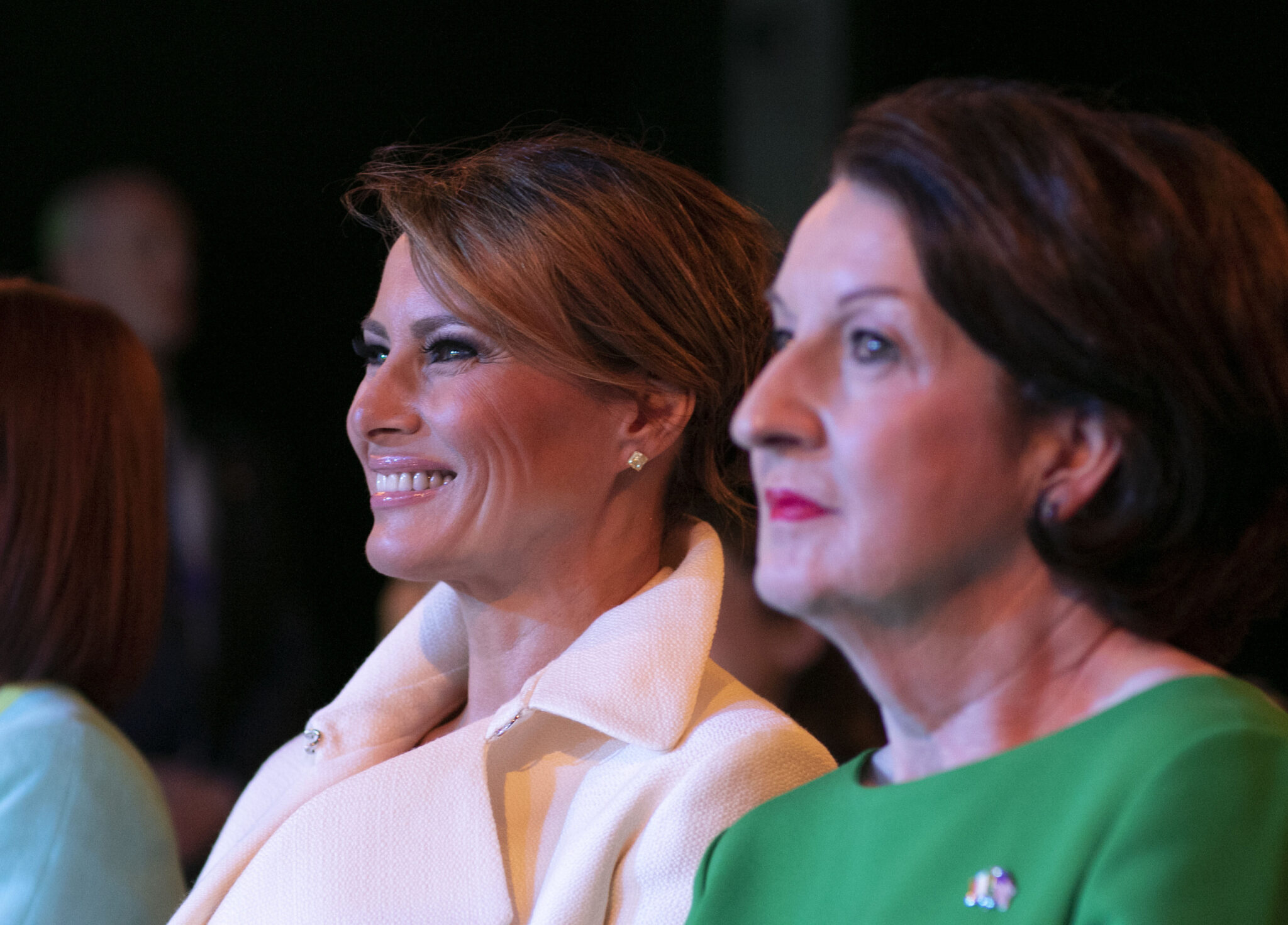 Rose Hynes' tenure as Chair of Shannon Group concludes - Clare Echo