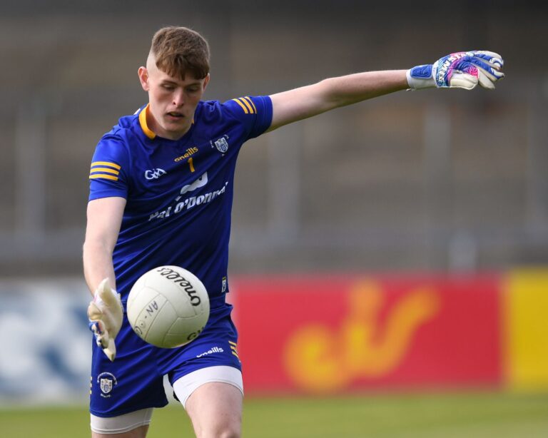 16 new additions to Clare football squad as Fitzgerald begins new era ...
