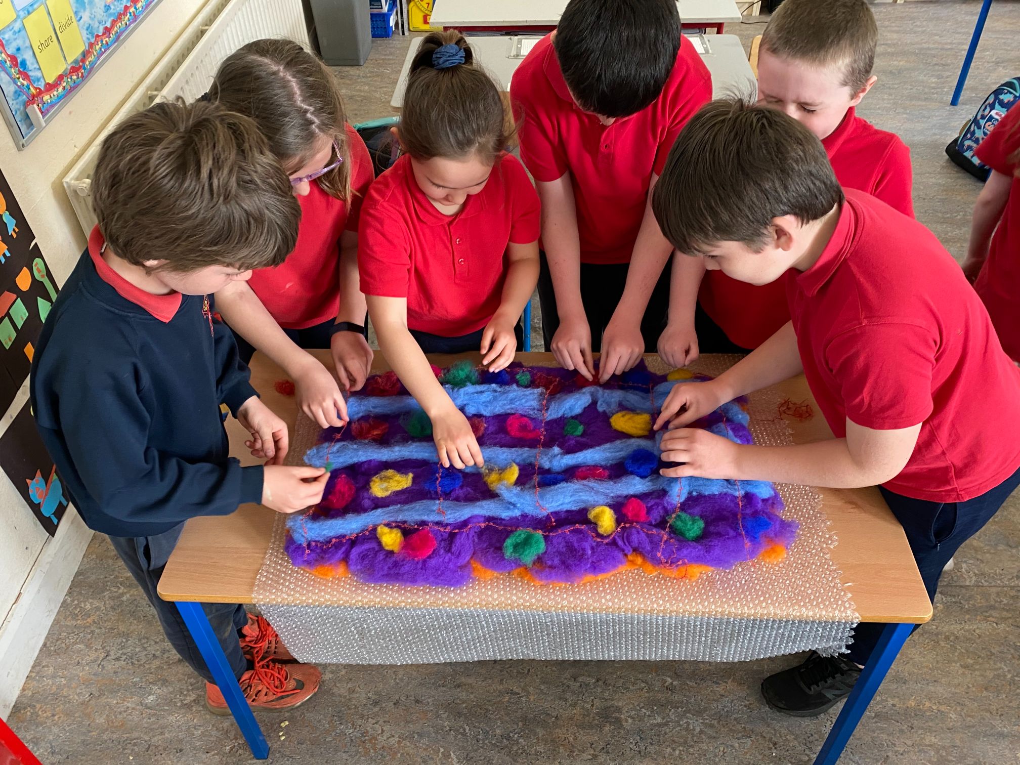 Sheer delight for Clouna students with wool project - Clare Echo