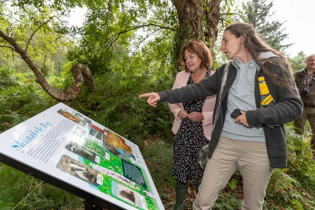 Shanakyle the first raised bog to be rewetted in Clare - Clare Echo