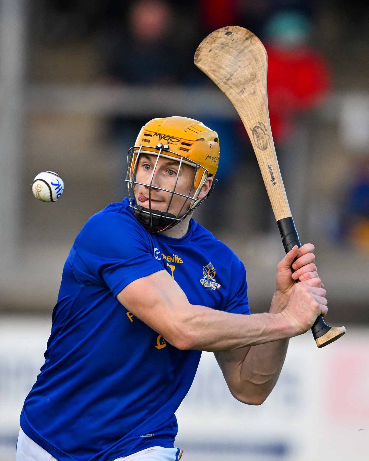 Bally boys are back in the Munster Final - Clare Echo
