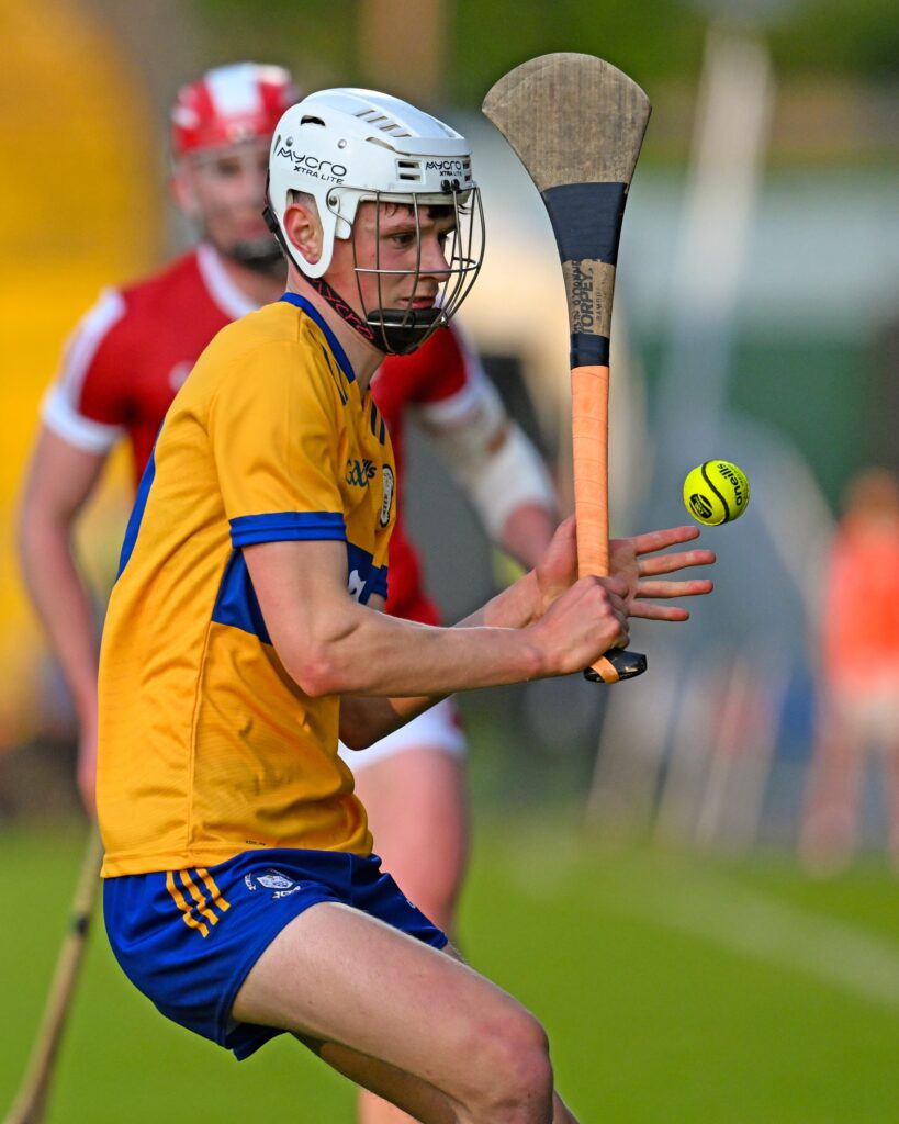 Lohan makes additions to Clare senior hurling training panel for 2024 ...