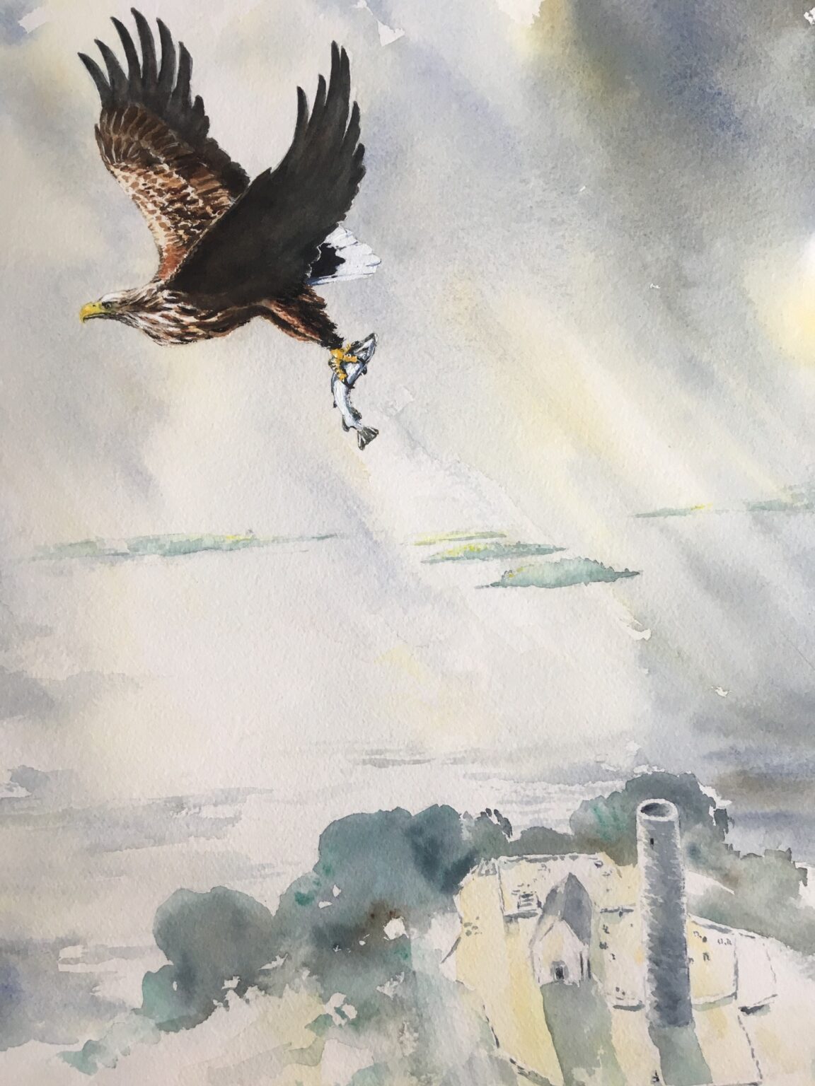 Clarescapes on show in Scariff - Clare Echo