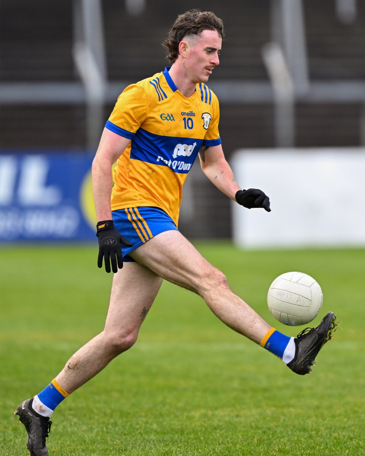 McGann & Coughlan make way back into Clare team - Clare Echo