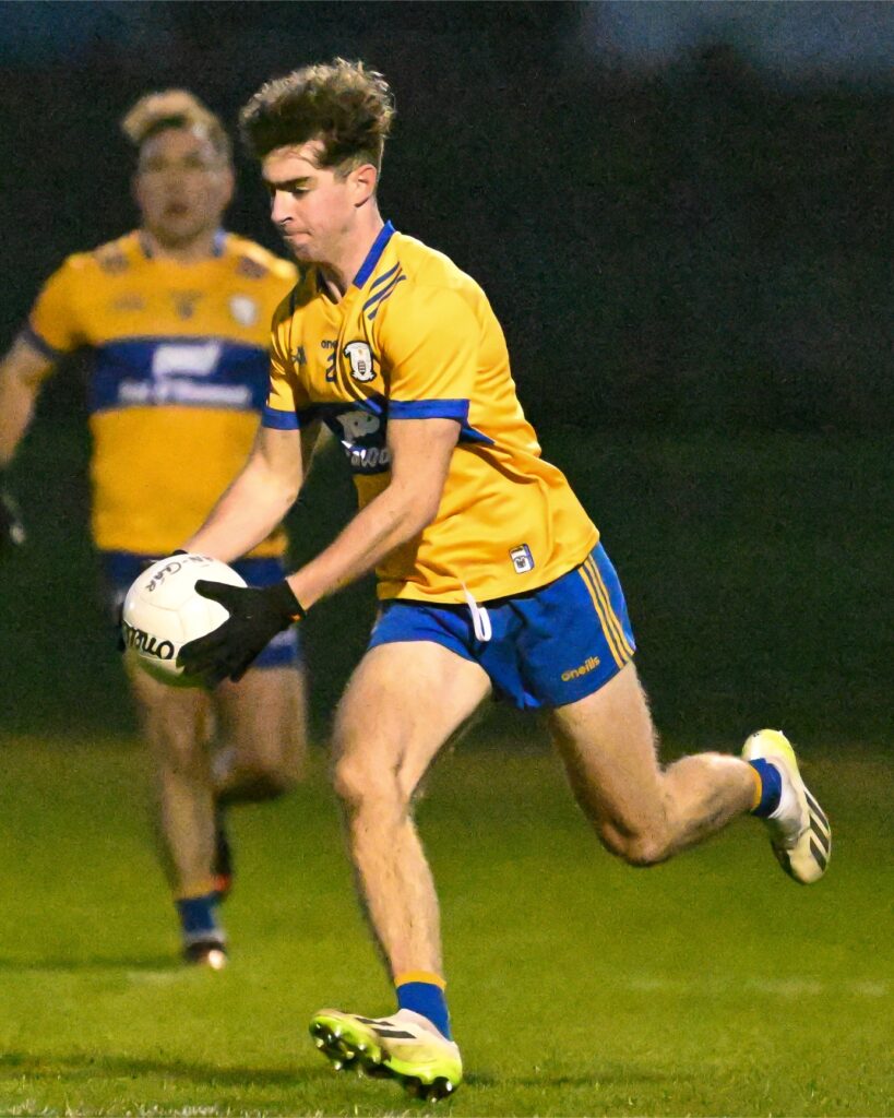 Player Ratings: Clare vs Limerick - Clare Echo