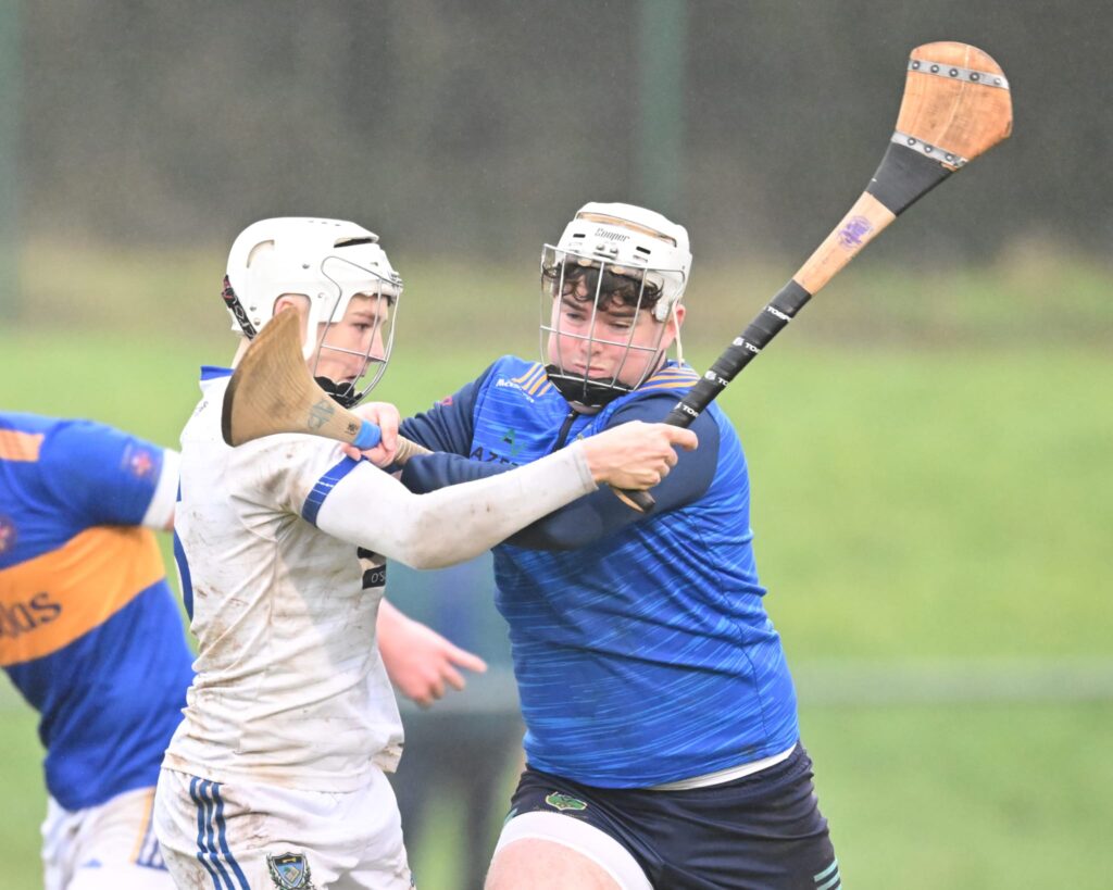 Thurles too sharp for St Flannan's in Harty Cup final - Clare Echo