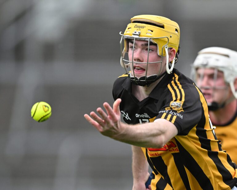 Ballyea beat Clonlara to return to Clare SHC semi-finals - Clare Echo