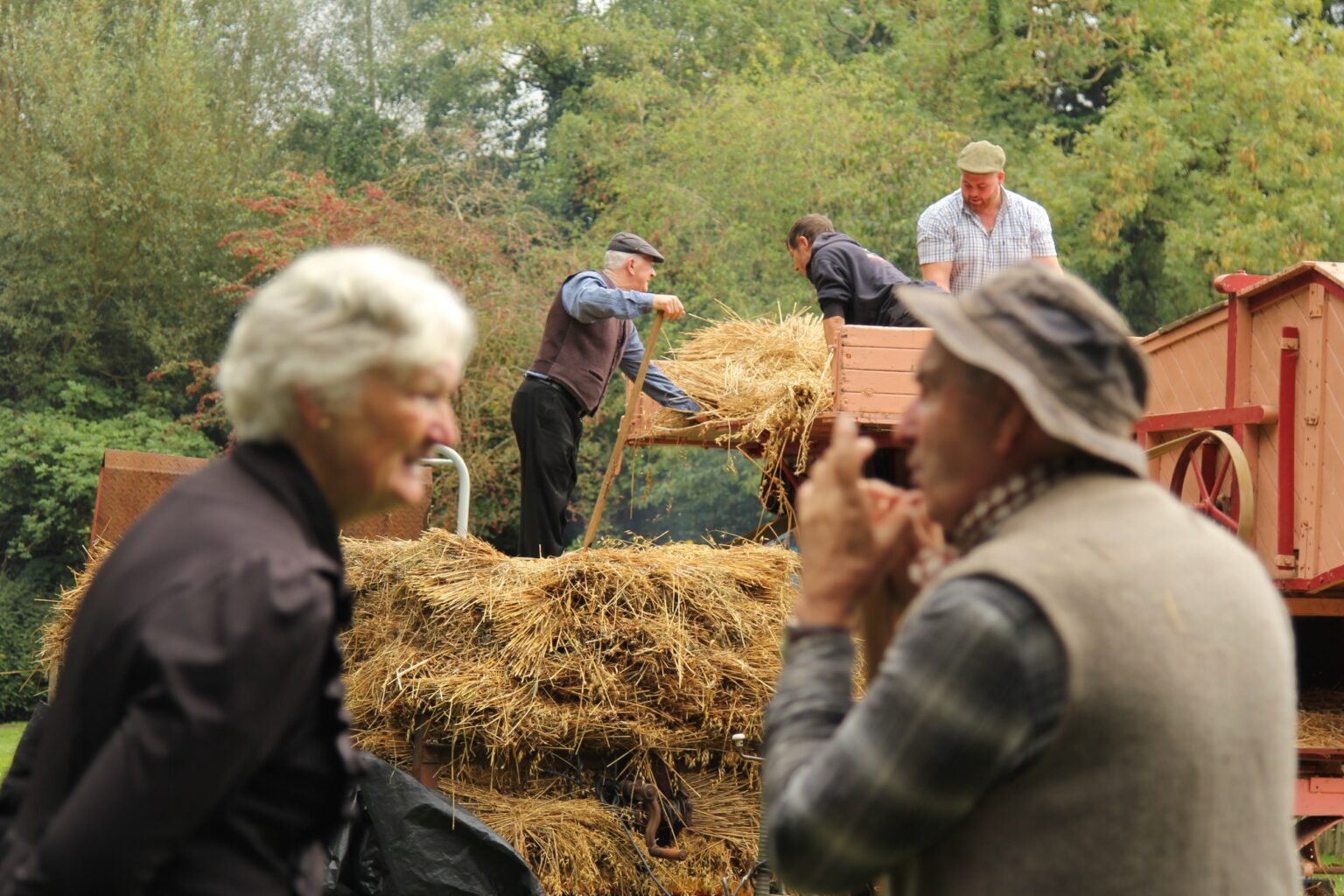 Sheaf throwing competition part of the Traditional Harvest Day offering ...