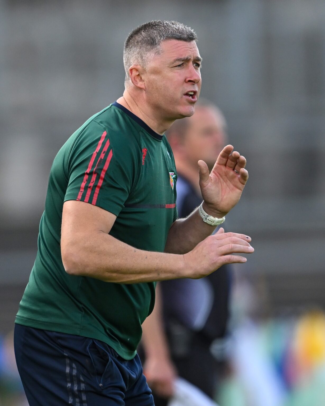 Lynch adds Sixmilebridge Clare SHC winner to his Clooney/Quin ...